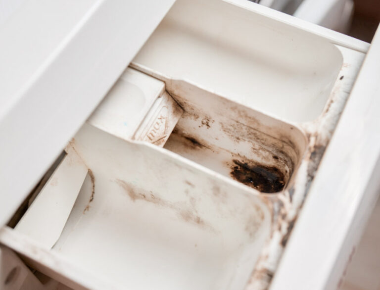 How to Clean Mold in Washers and Other Appliances - affresh® appliance care